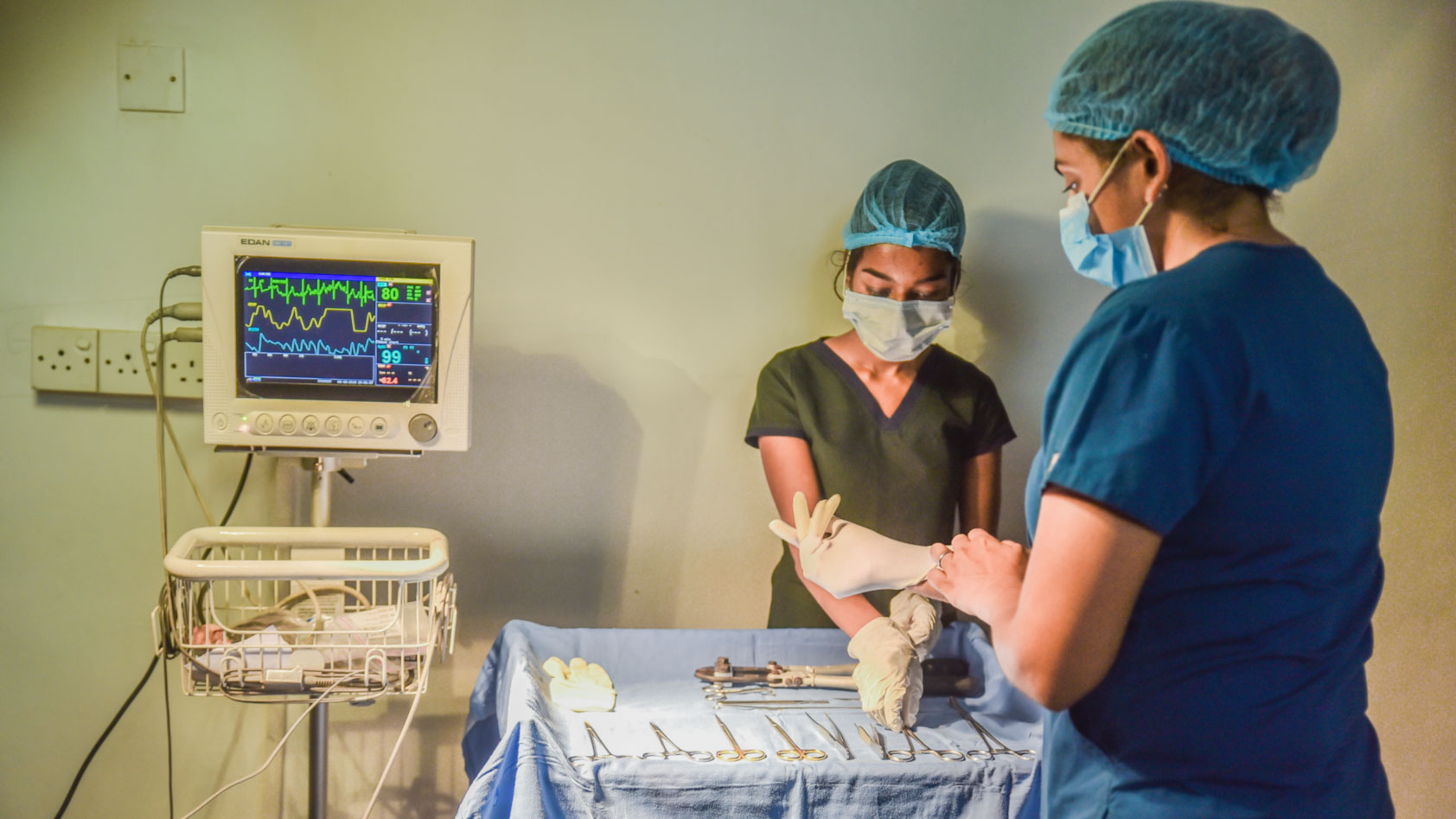 Companion Animal Surgery – PetVet Clinic ~ Full Service Veterinary Hospital