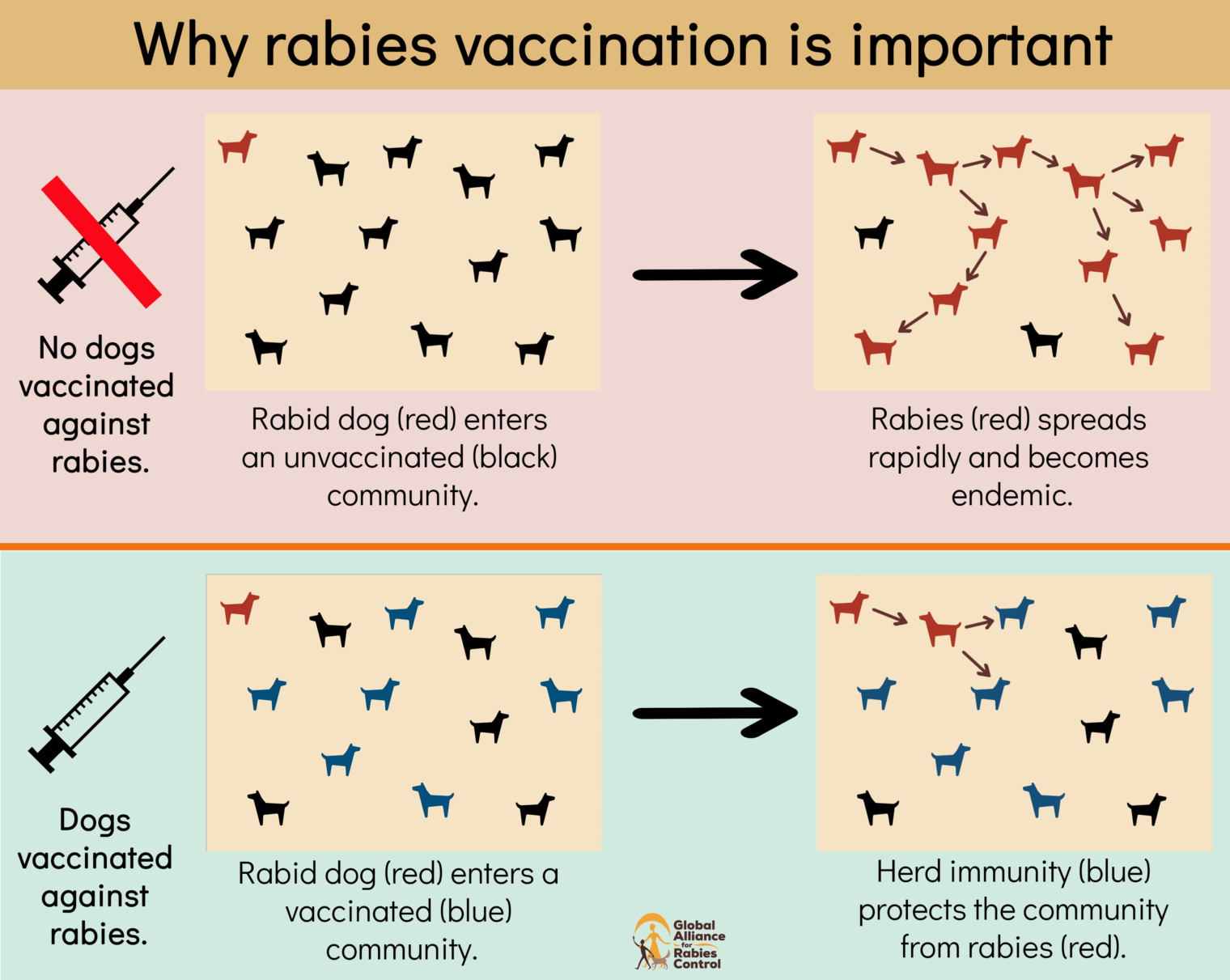Breaking Rabies Boundaries: Anti-Rabies Vaccination Program – PetVet ...