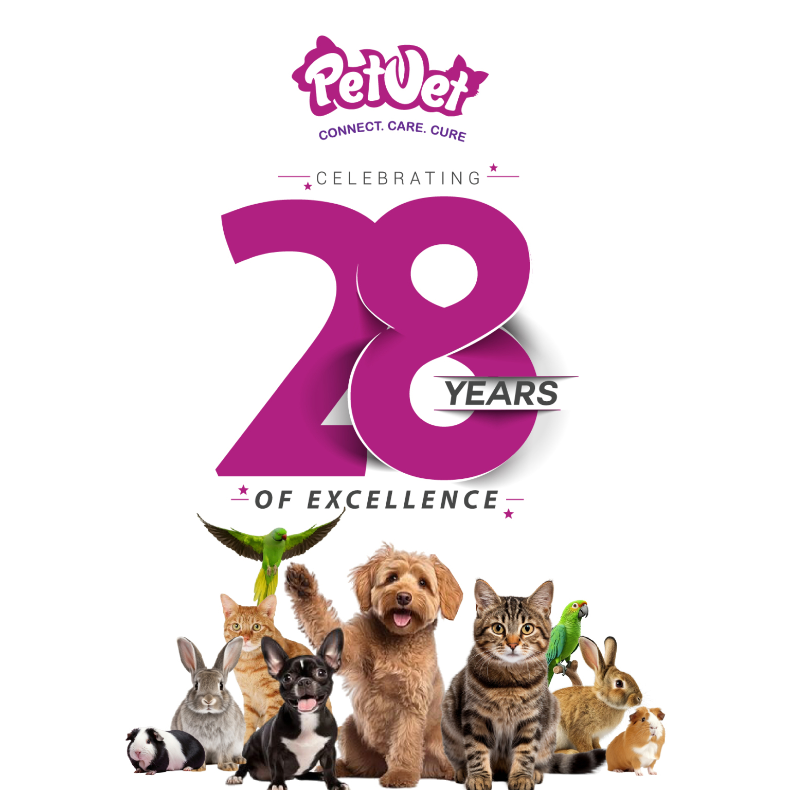 PetVet Clinic ~ Full Service Veterinary Hospital – Connect. Care. Cure.